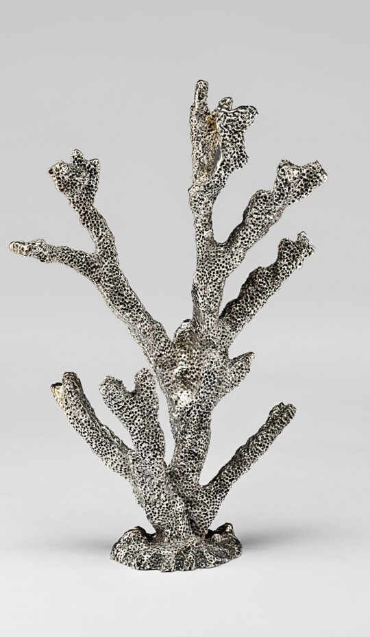 Silvered Scotch Bonnet Shell | Creel and Gow | Silver Plated Seashell