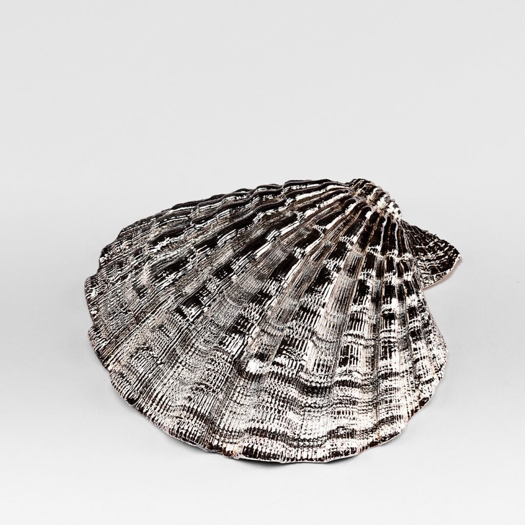 Silvered Pecten Shell | Creel and Gow | Silver Shell