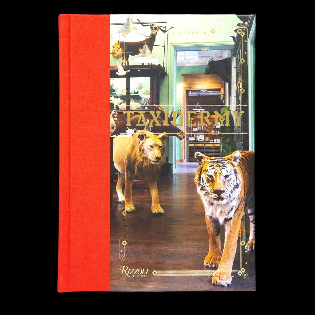 Alexis Turner: Taxidermy (Hardcover) | Creel and Gow